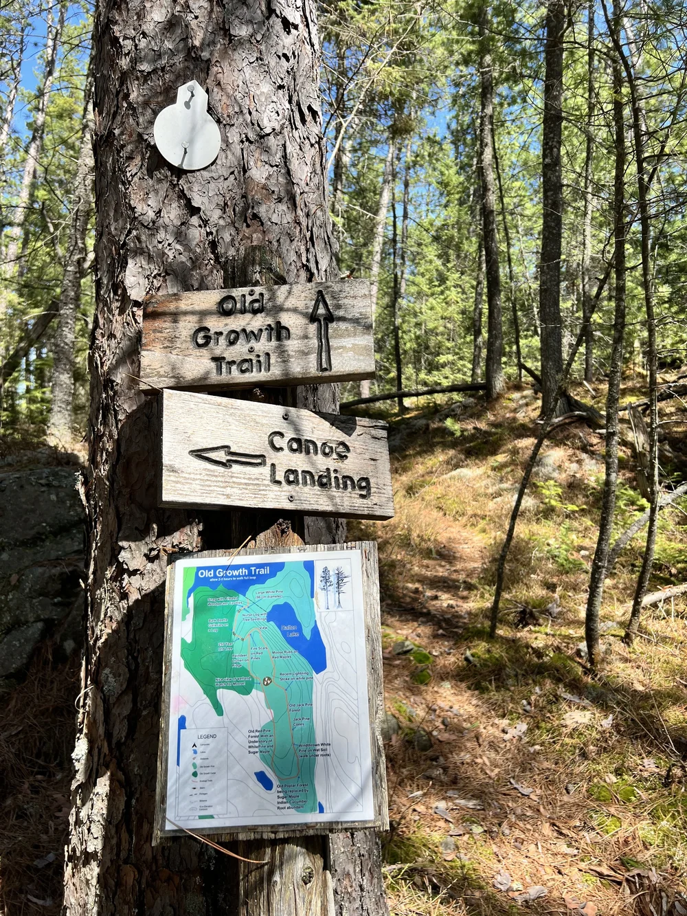 Canoe Tripping in Temagami, Ontario — Emily Gillespie