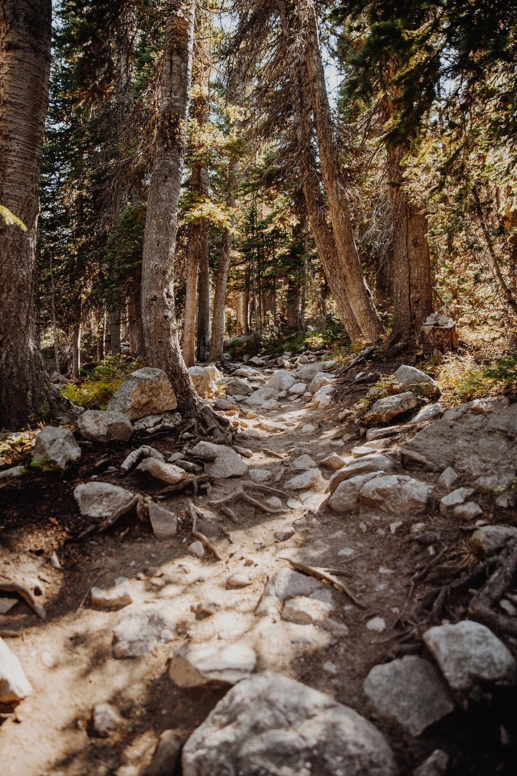 Janny Sivilay, LSCSW