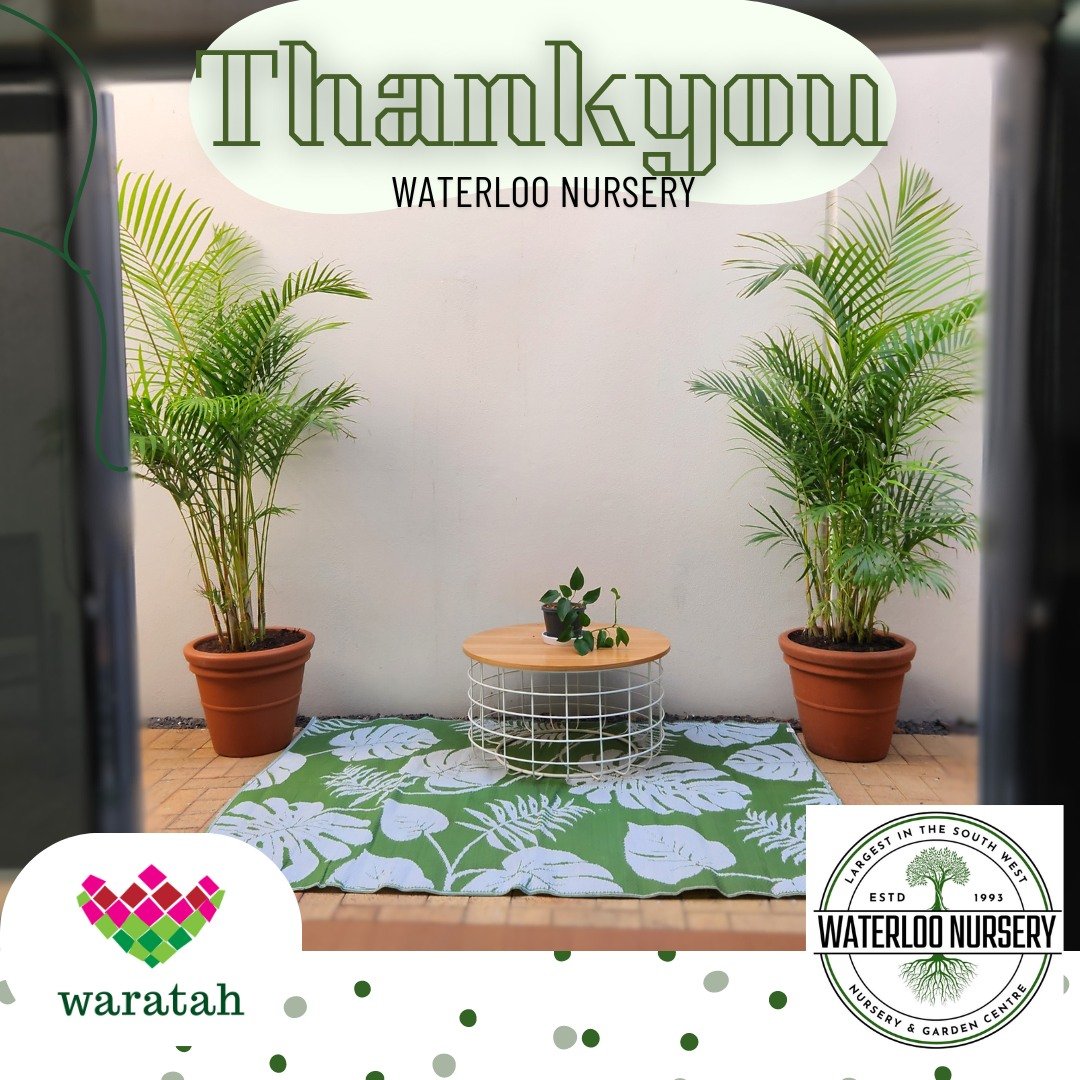 Resources — Waratah