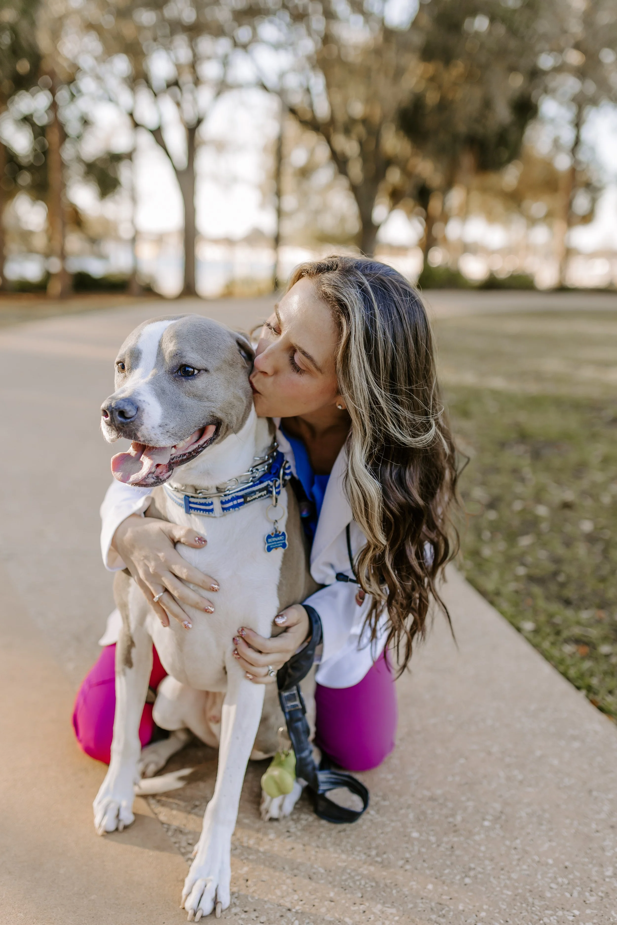 Southern Veterinary Services
