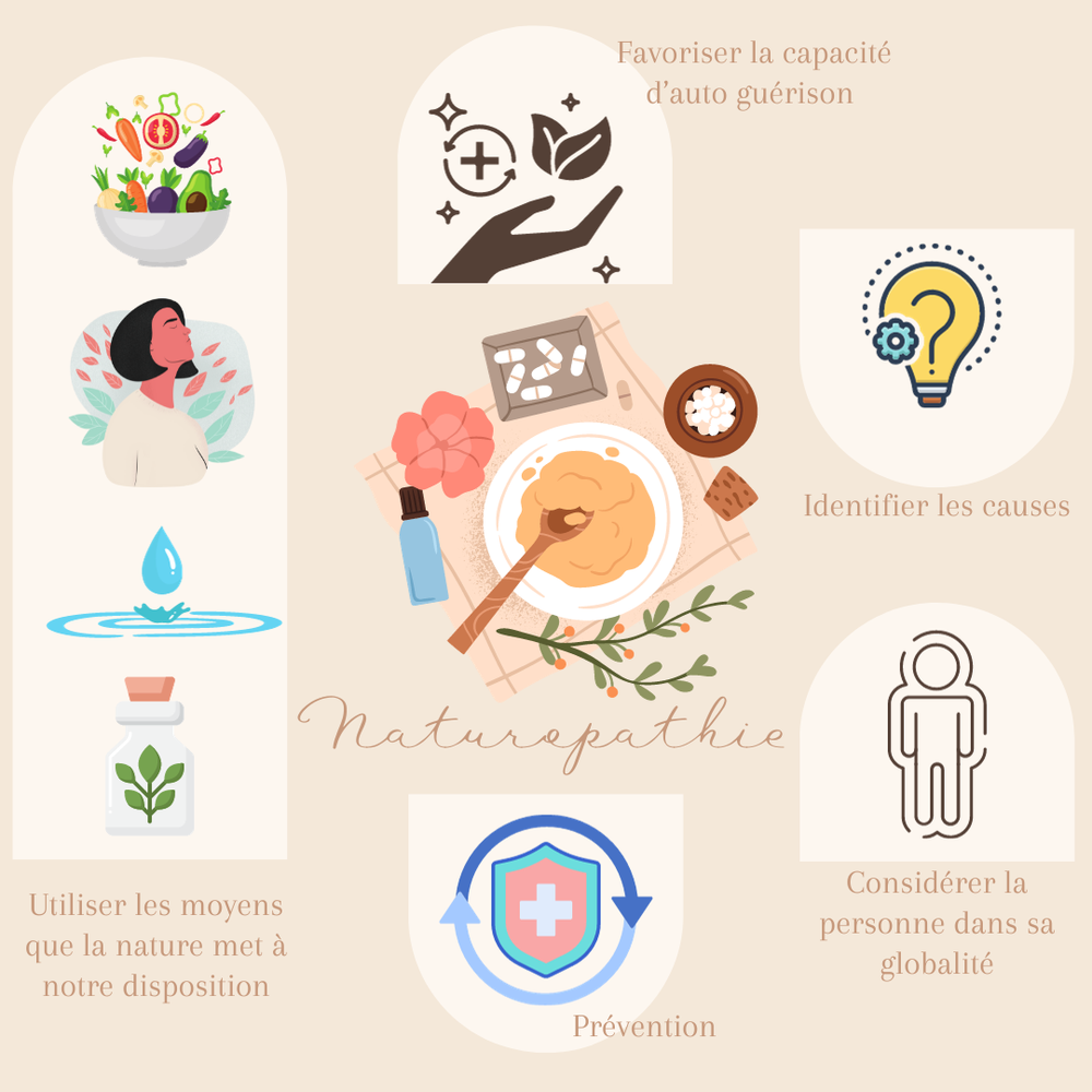 L'approche naturopathique — Cylinia BAUMARD - Praticienne en ...