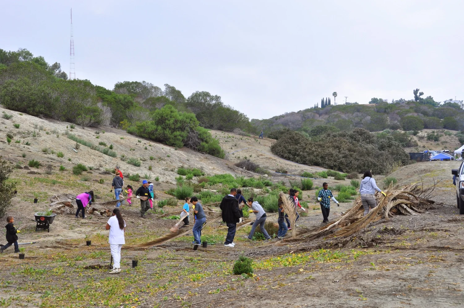 Green Infrastructure — Groundwork San Diego