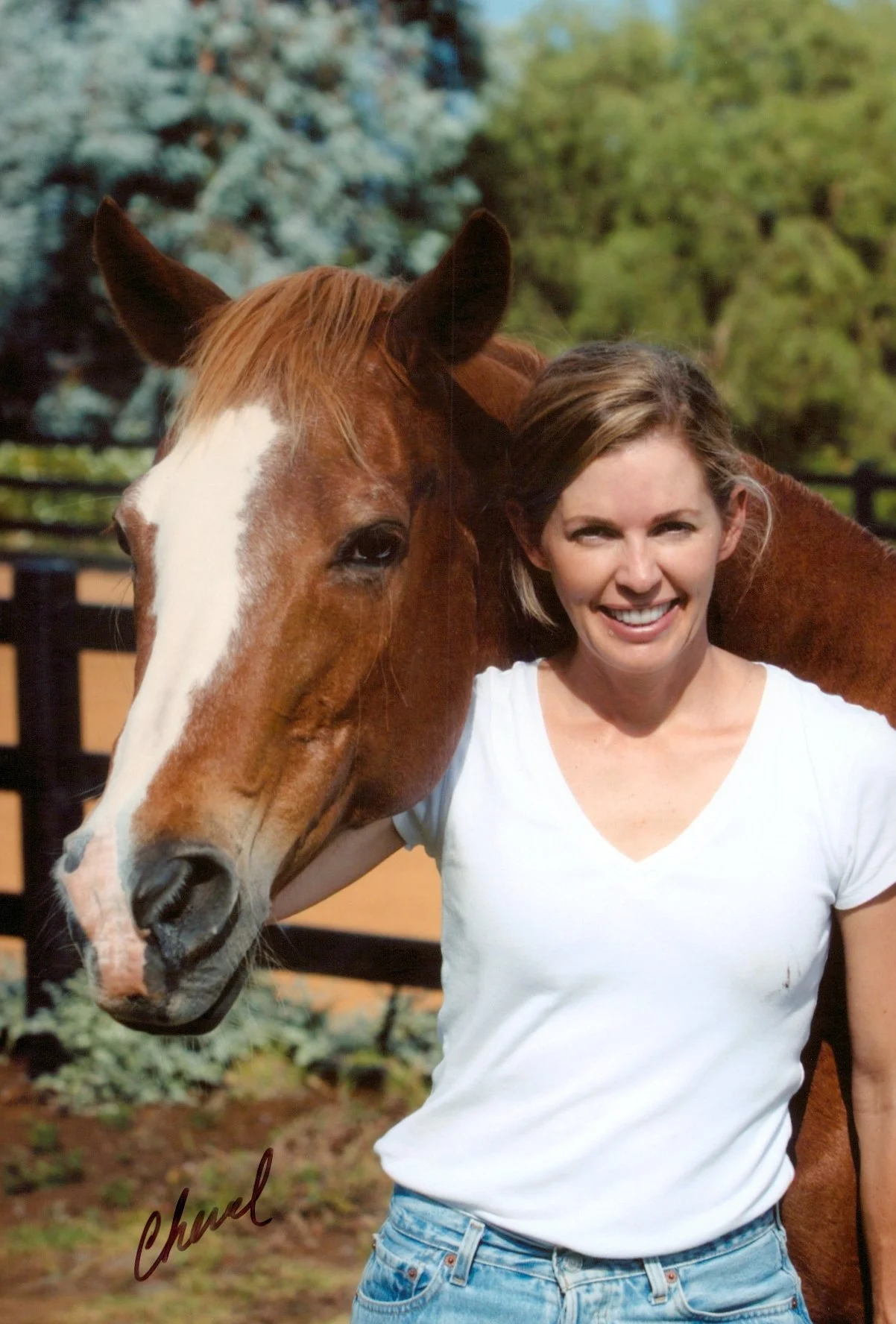 About CSC Equine Design about-csc-equine-design