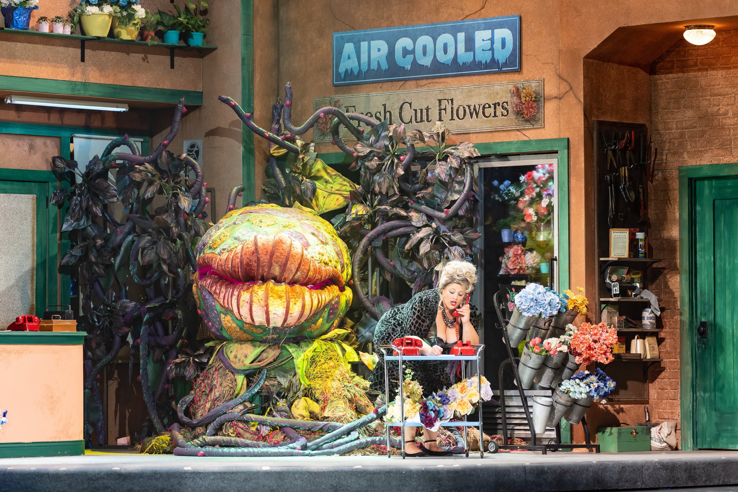 Gallery — Landree Fleming