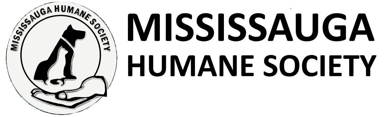 Adopt — Mississauga Humane Society