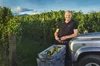 Cirro Wines | Marlborough, New Zealand
