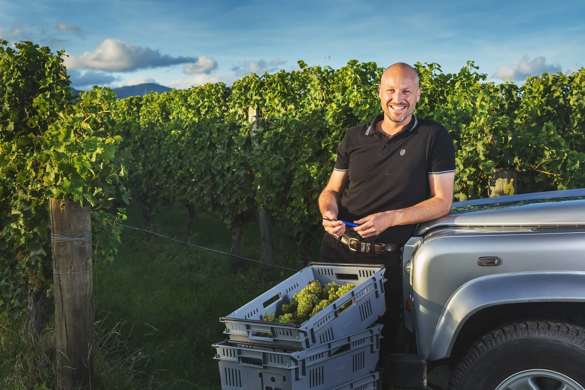 Cirro Wines | Marlborough, New Zealand