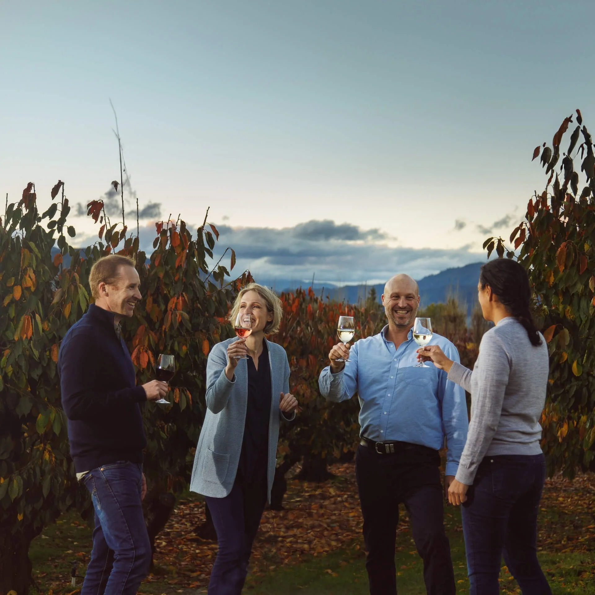 About Us — Cirro Wines
