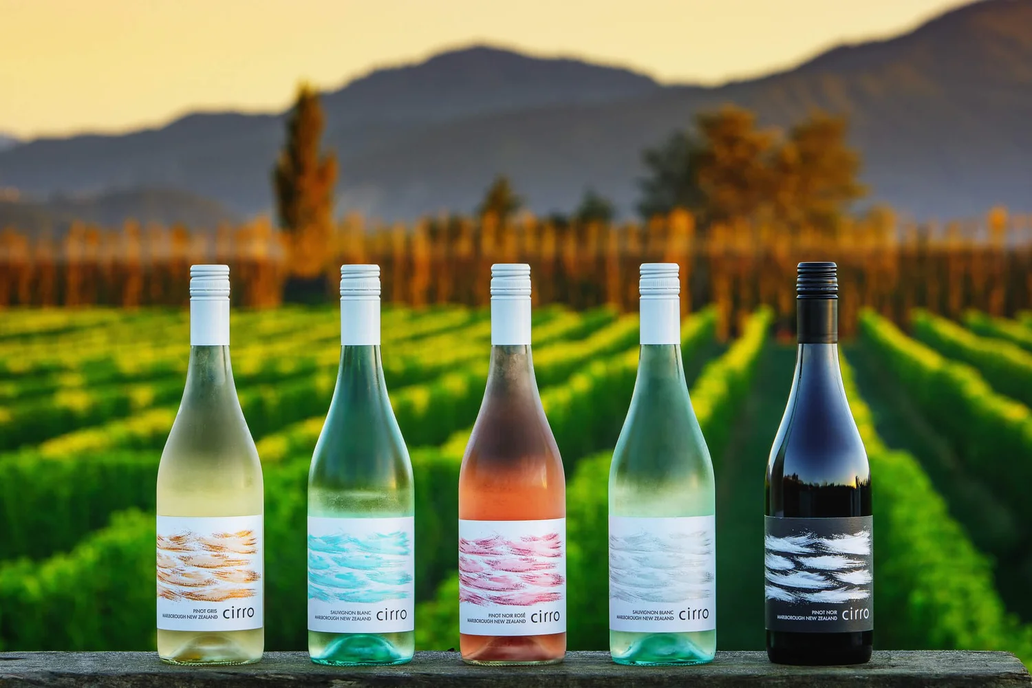 Cirro Wines | Marlborough, New Zealand