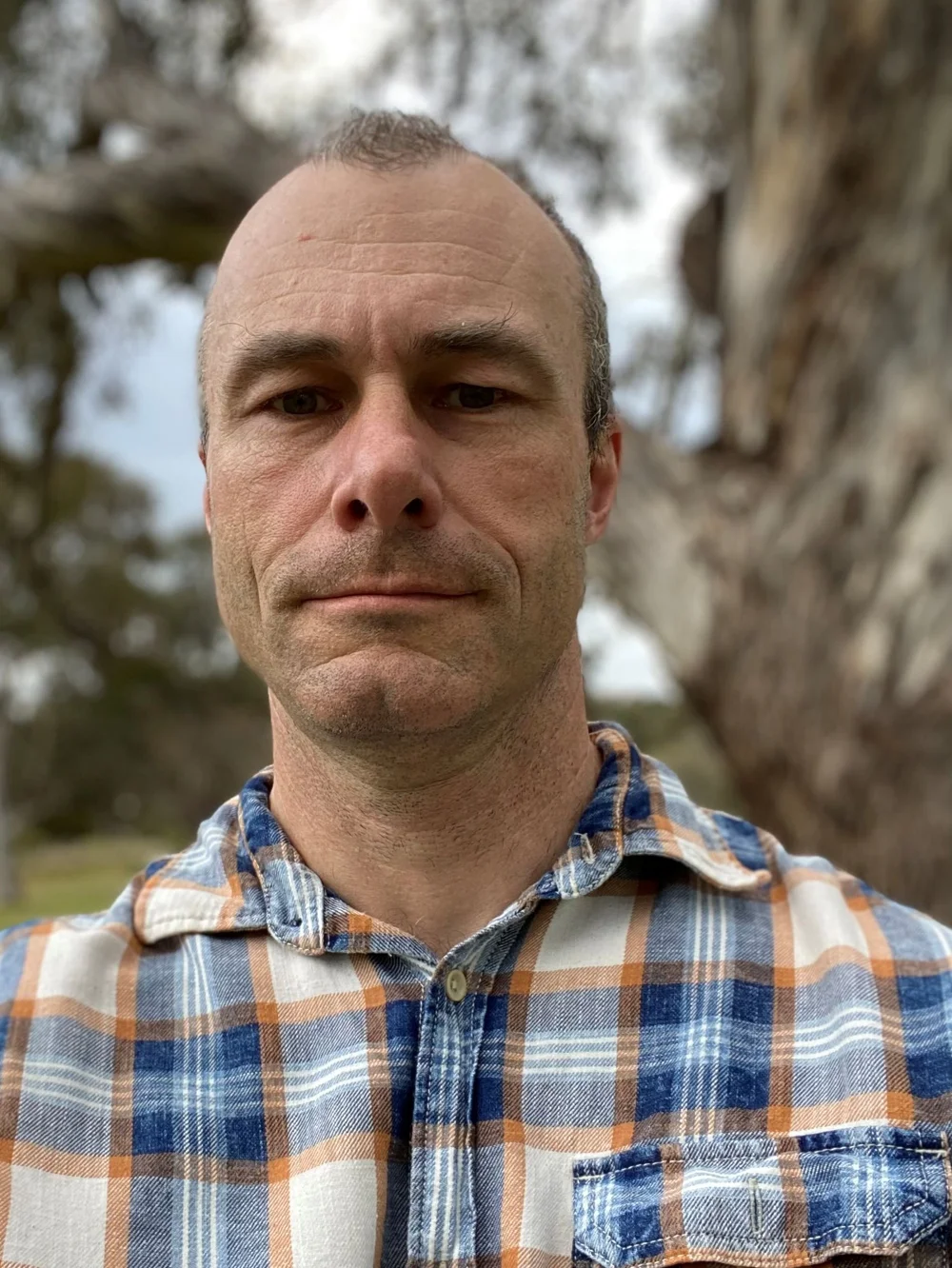 Line Up — NSW Tree Conference