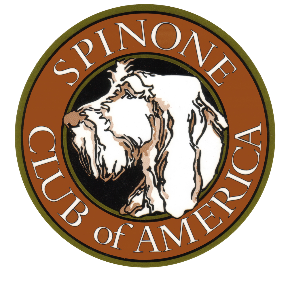 Spinone Club of America