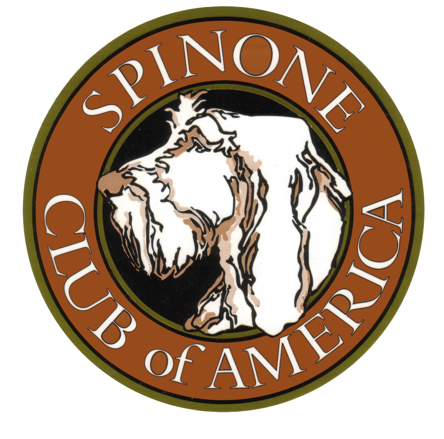 Spinone Club of America
