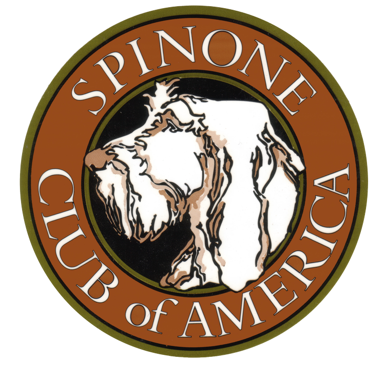Spinone Club of America