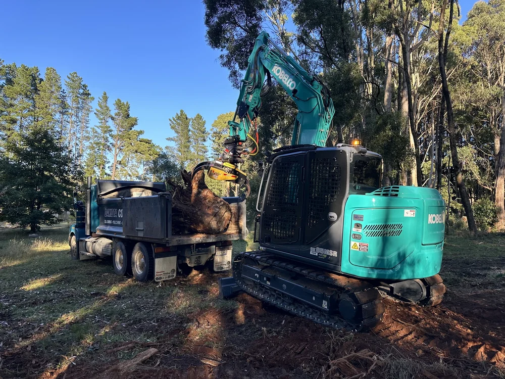 Land Clearing Gallery