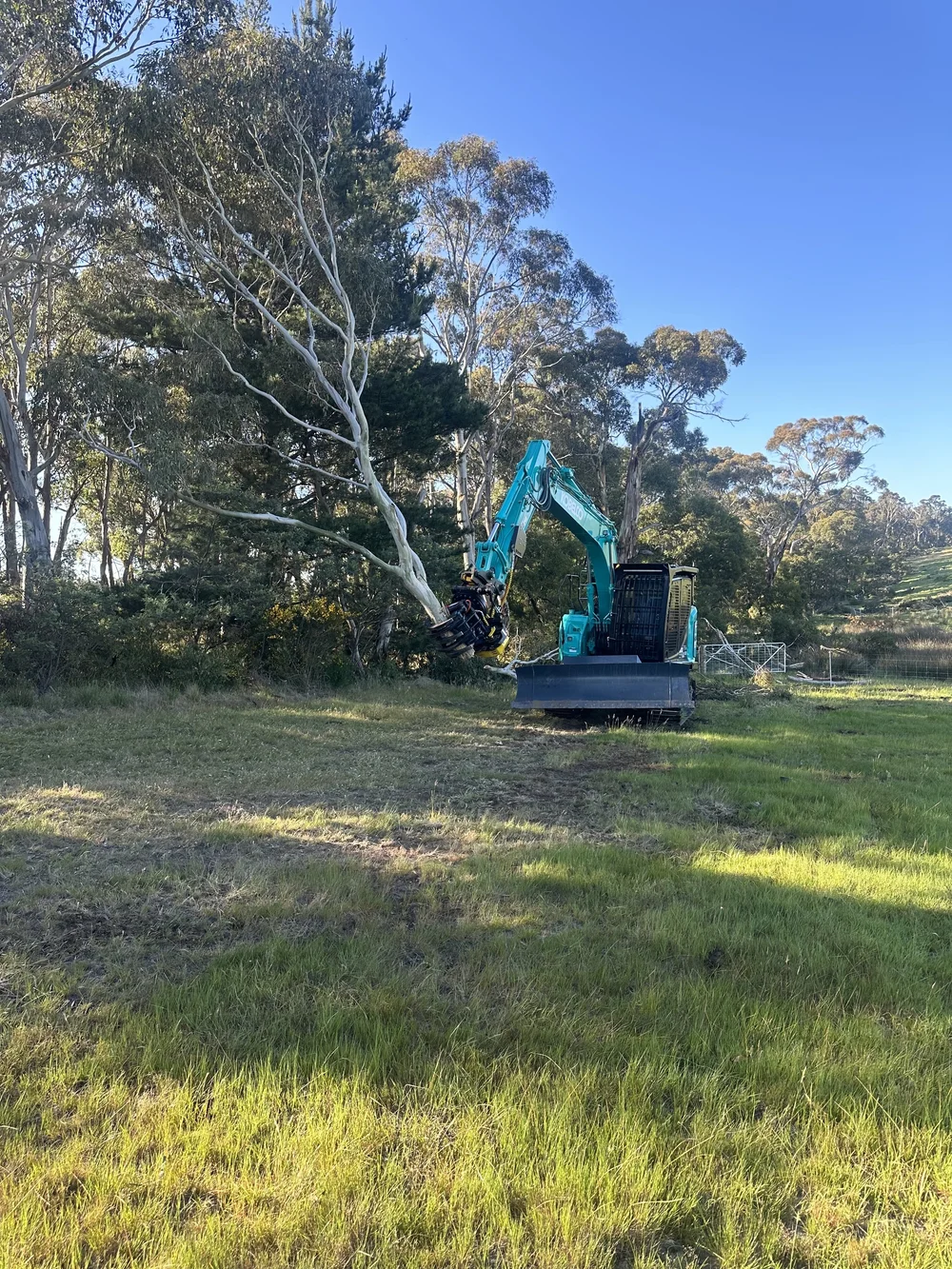 Land Clearing Gallery
