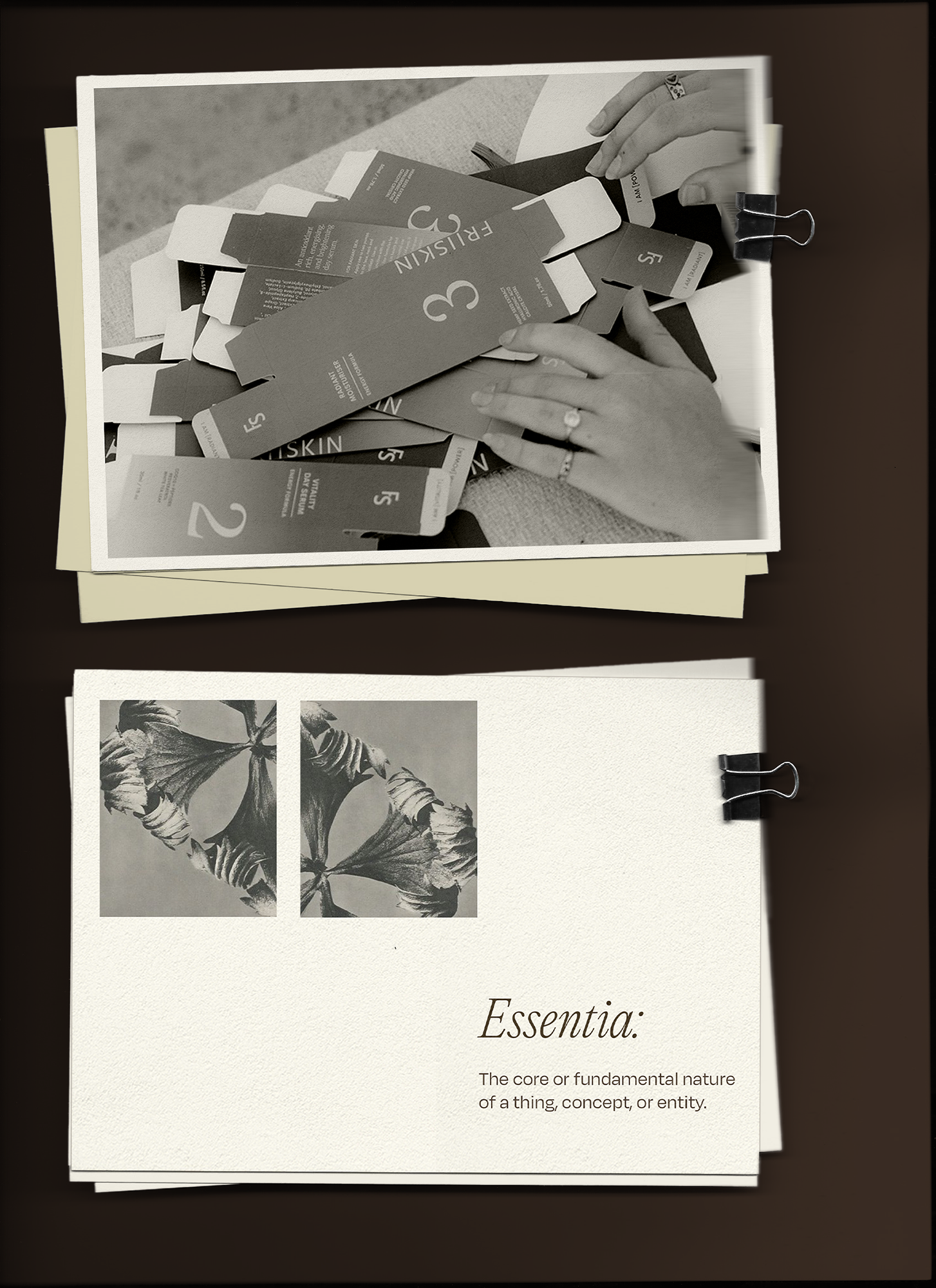 About — Studio Essentia | Brand Design Agency Australia