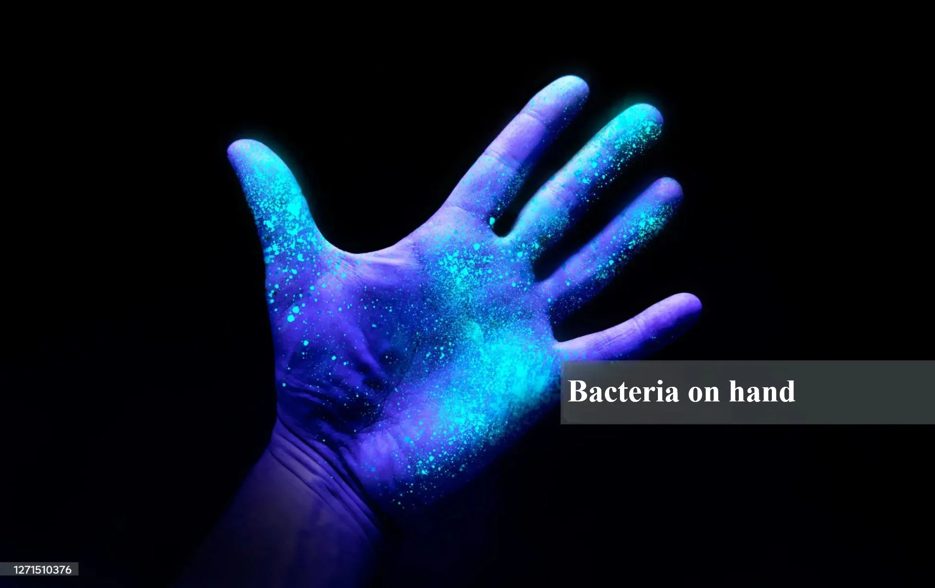 Home — love family, love health