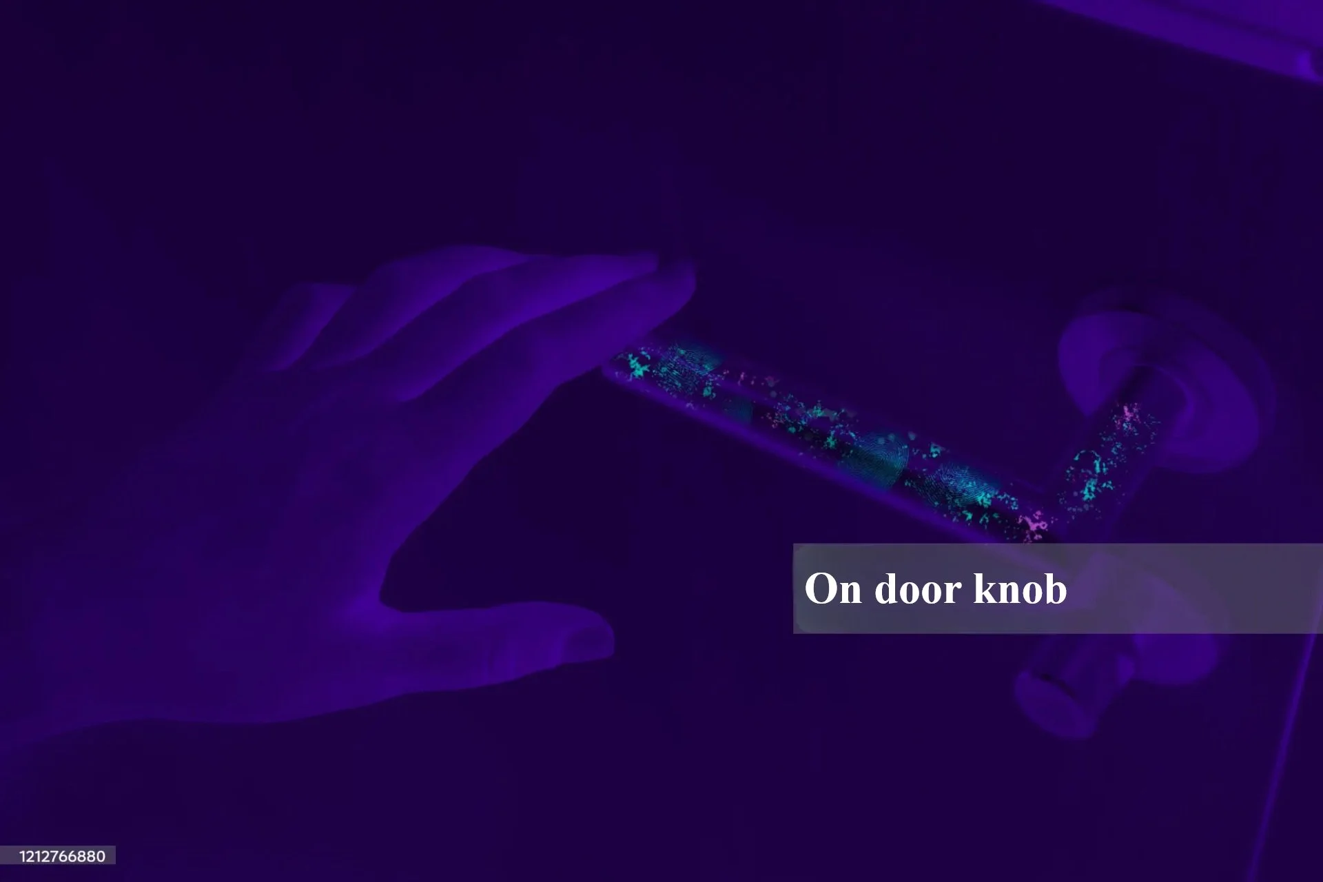 Home — love family, love health