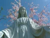 The Center for Spiritual Direction at Holy Family