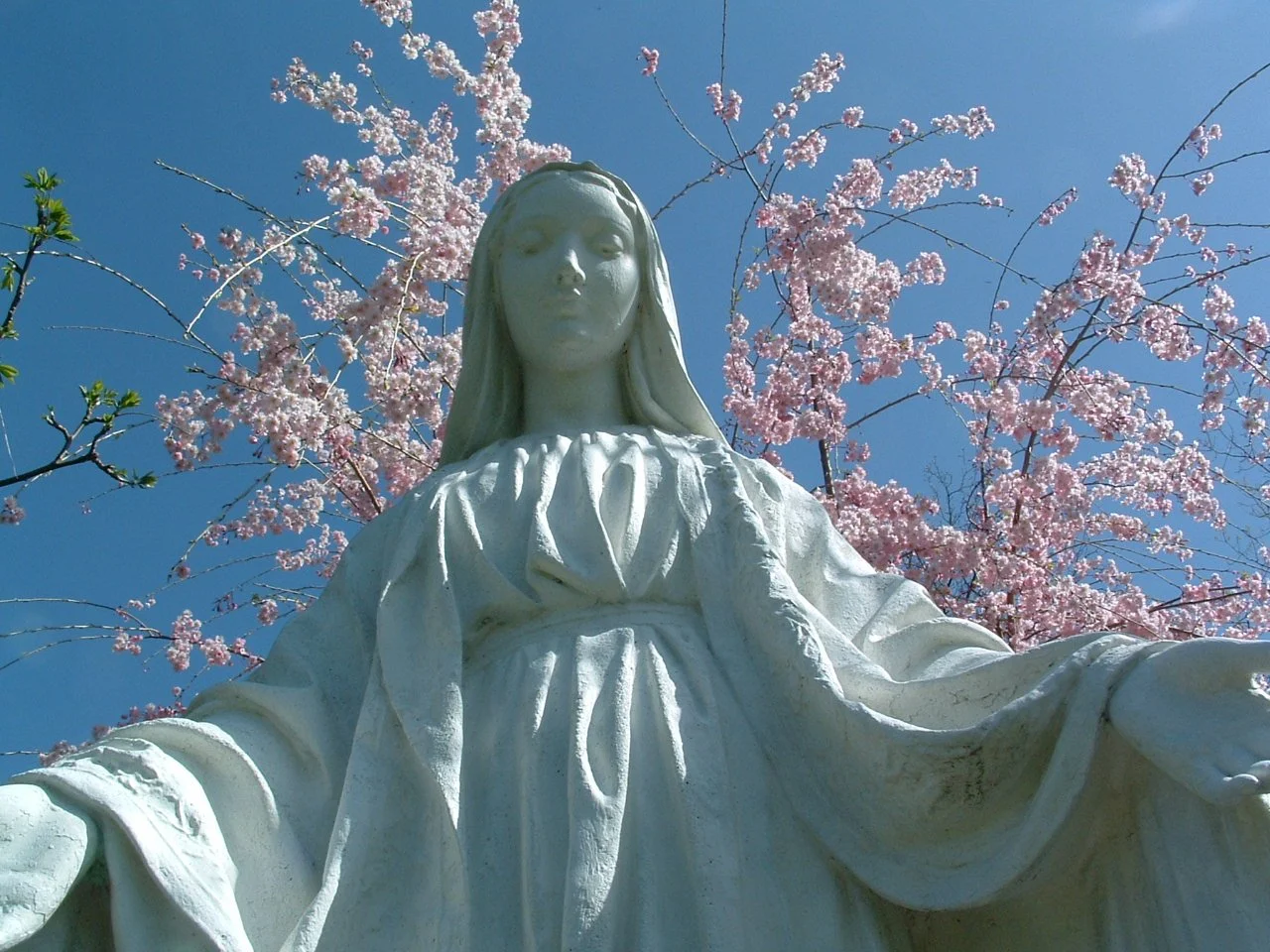 The Center for Spiritual Direction at Holy Family