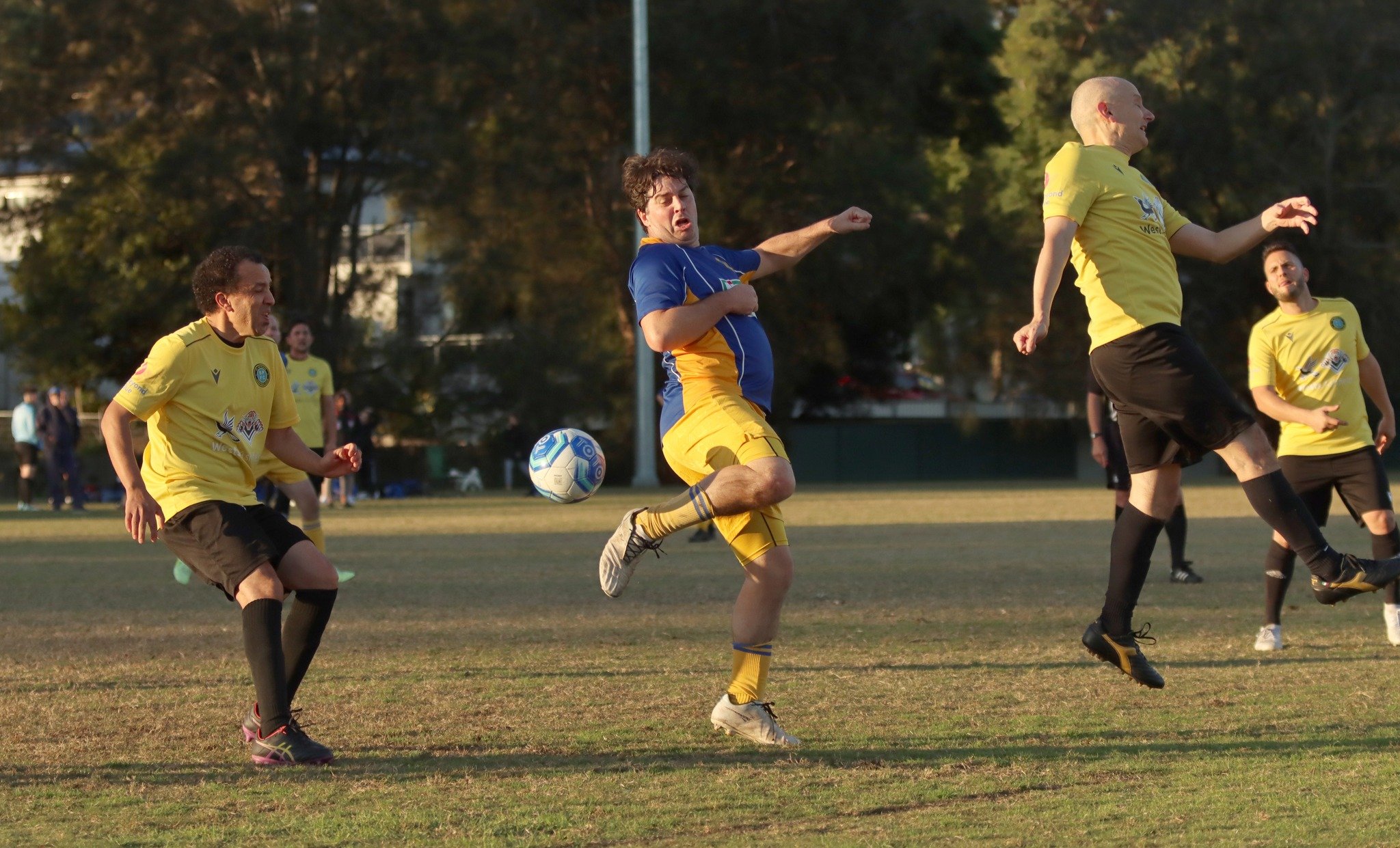 North Ryde Soccer Club