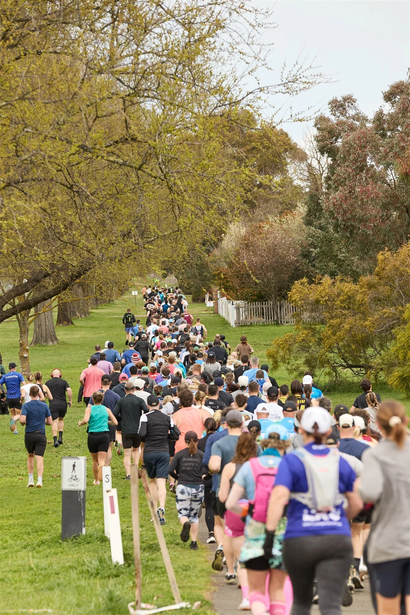 The Pub to Pub 2026 — Life in the Peloton