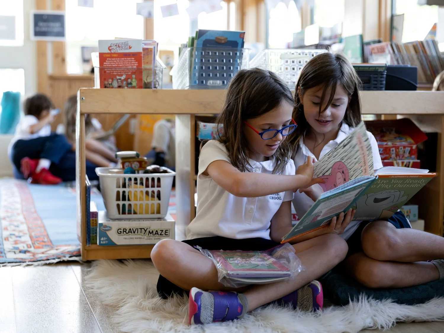 Learning and Outcomes — Ross School