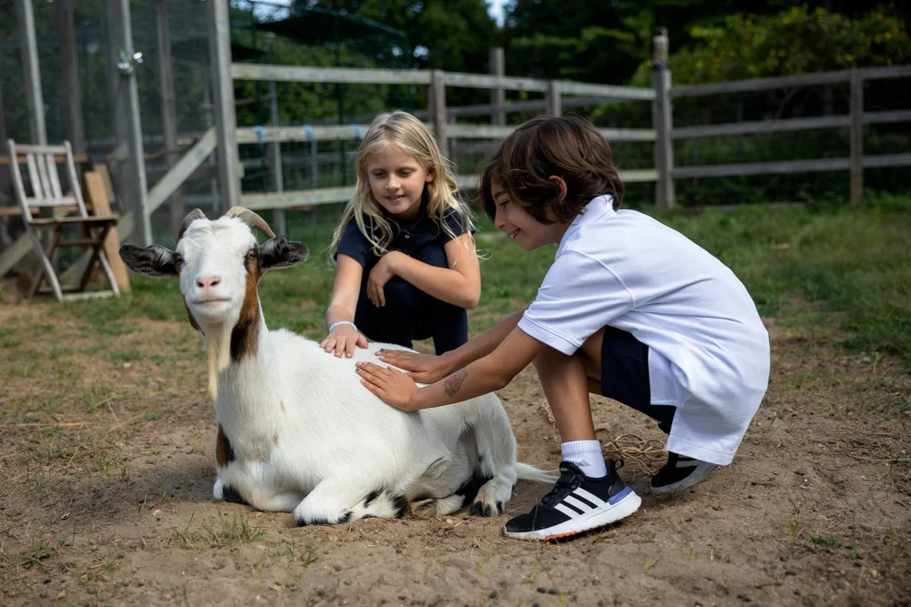 Bridgehampton Campus — Ross School