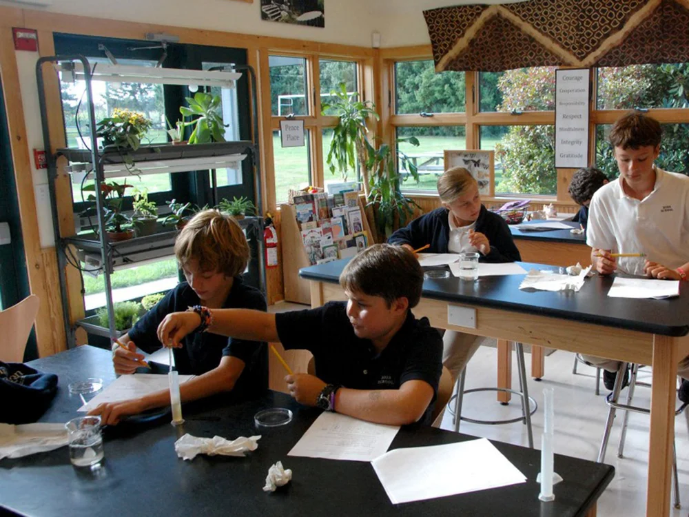 Learning and Outcomes — Ross School