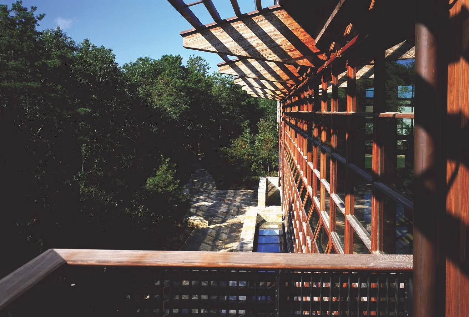 Alumni — Ross School