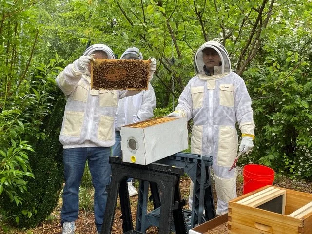 The Tradition Of Telling The Bees: A Cultural Legacy | Buried In Work