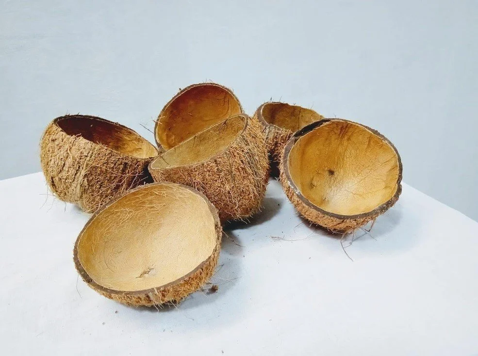 Plant Parts — Exotic Wood Source