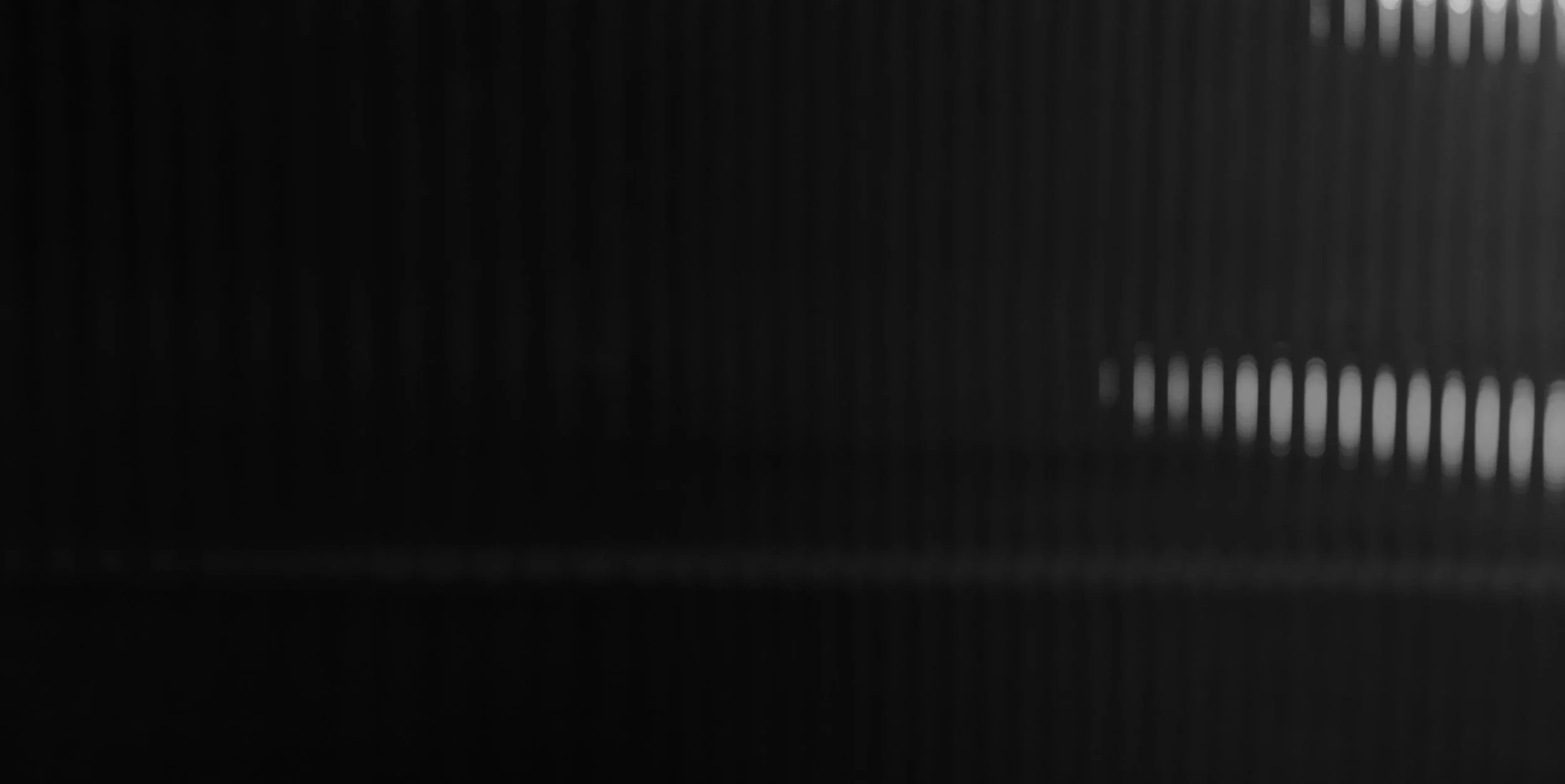 Ghost Blanco Tequila — Ghost Tequila