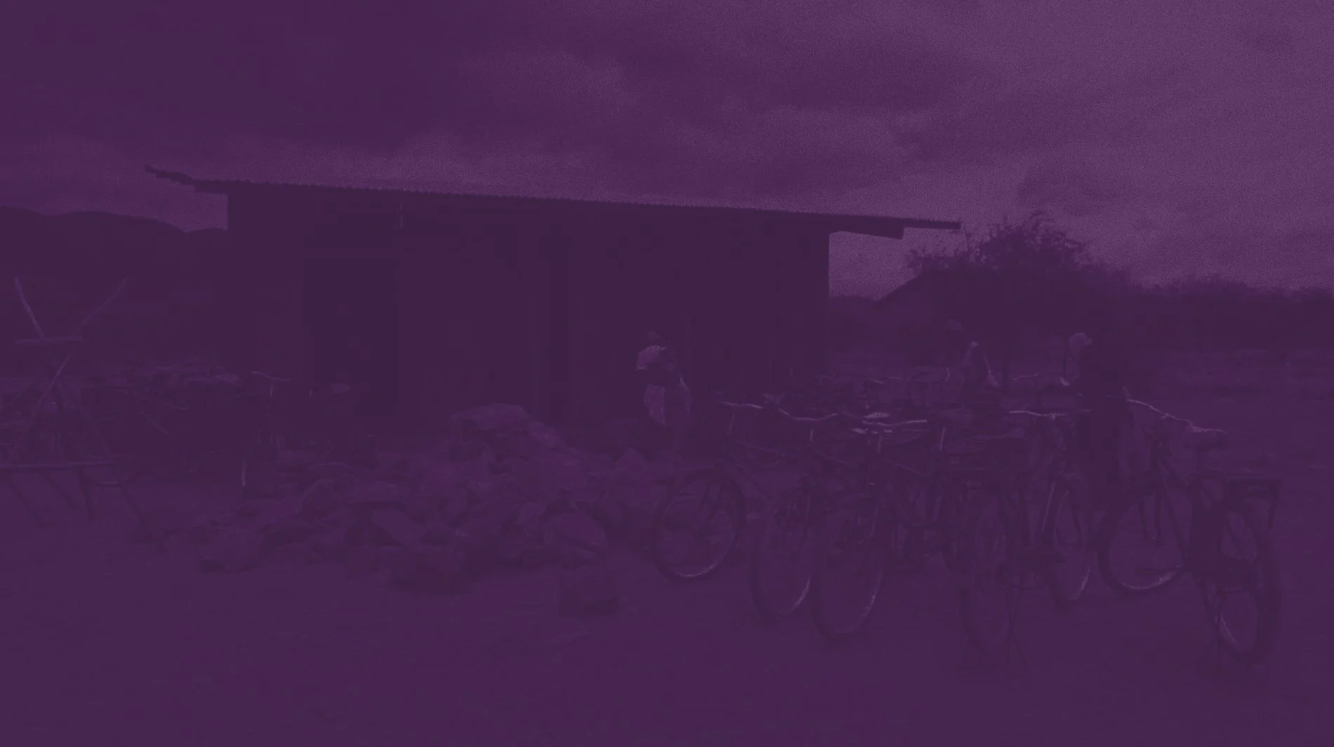 Global Bike