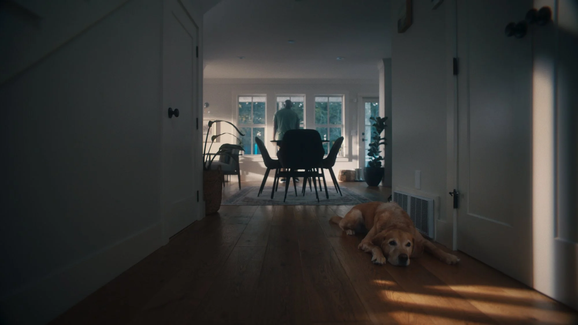 Canadian Tire — liam higgins. cinematographer