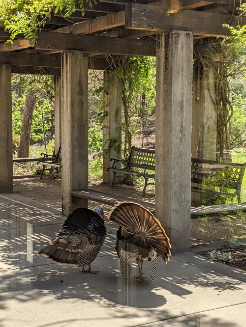 Applegate Jesuit Retreat Center — UCCR United Camps, Conferences, Retreats