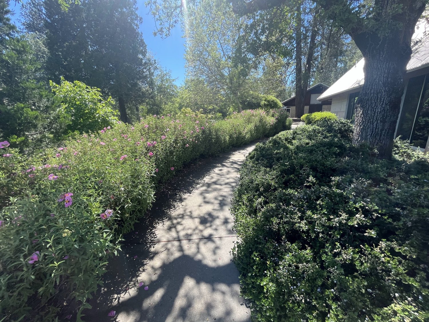 Applegate Jesuit Retreat Center — UCCR United Camps, Conferences, Retreats