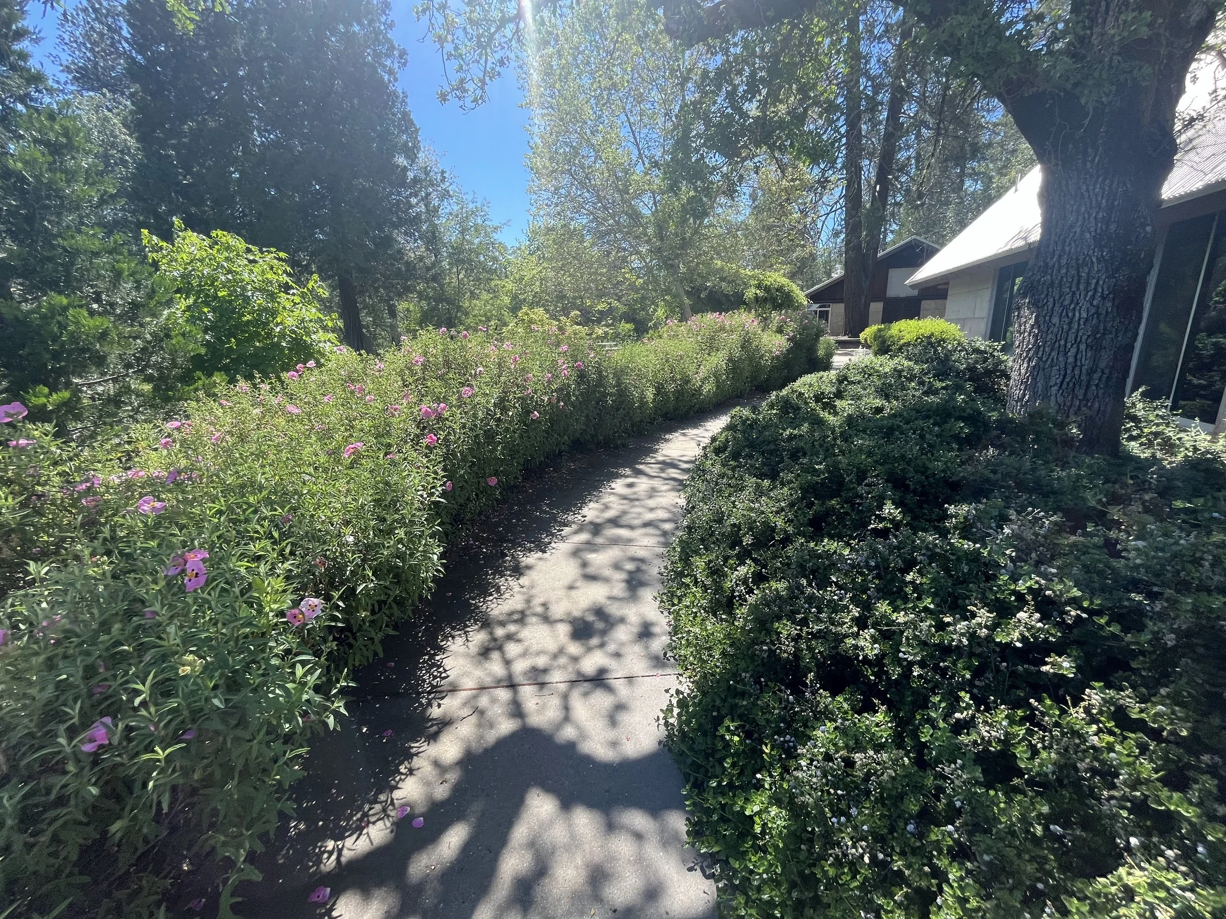 Applegate Jesuit Retreat Center — UCCR United Camps, Conferences, Retreats