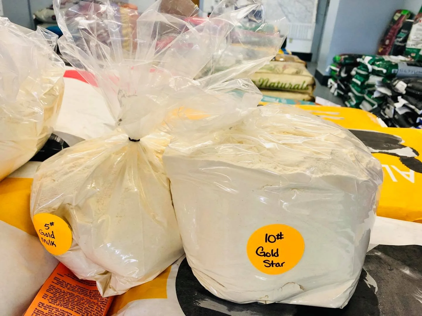 Cattle — Evans Feed Co.