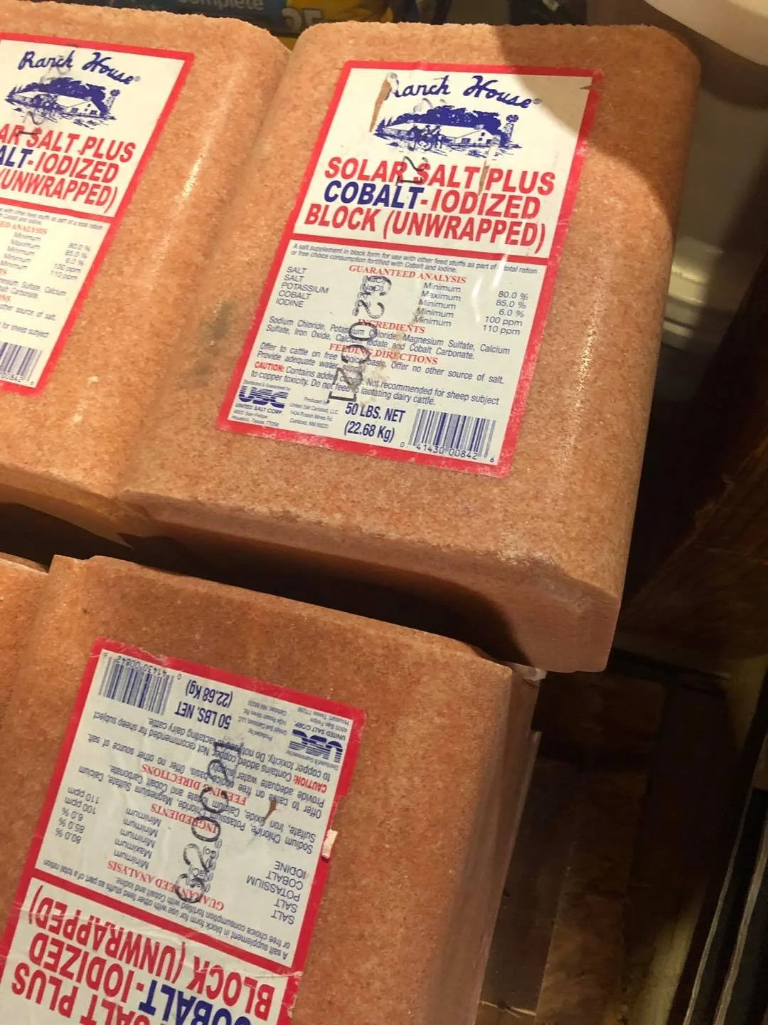 Cattle — Evans Feed Co.