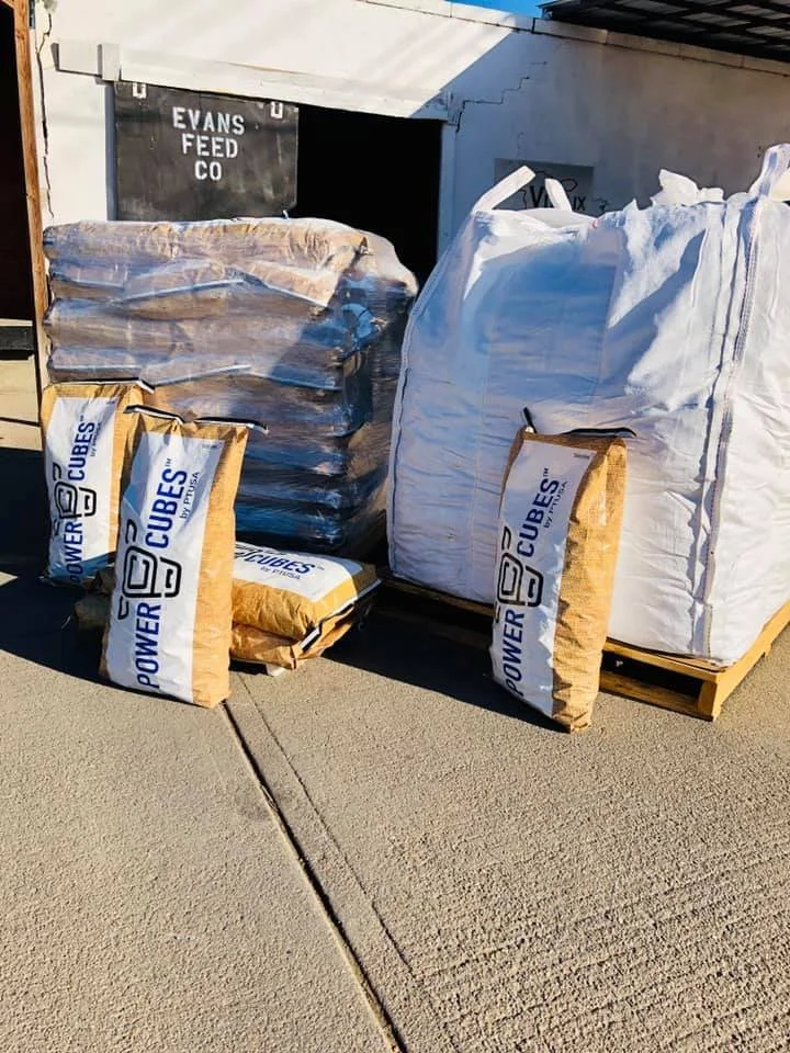 Cattle — Evans Feed Co.