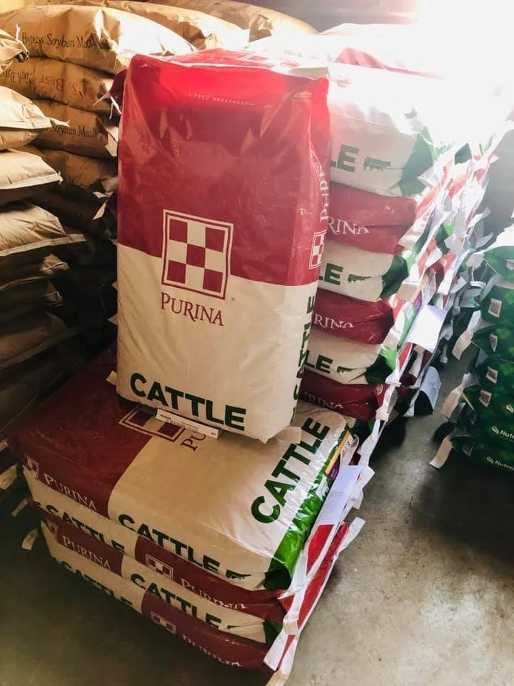 Cattle — Evans Feed Co.