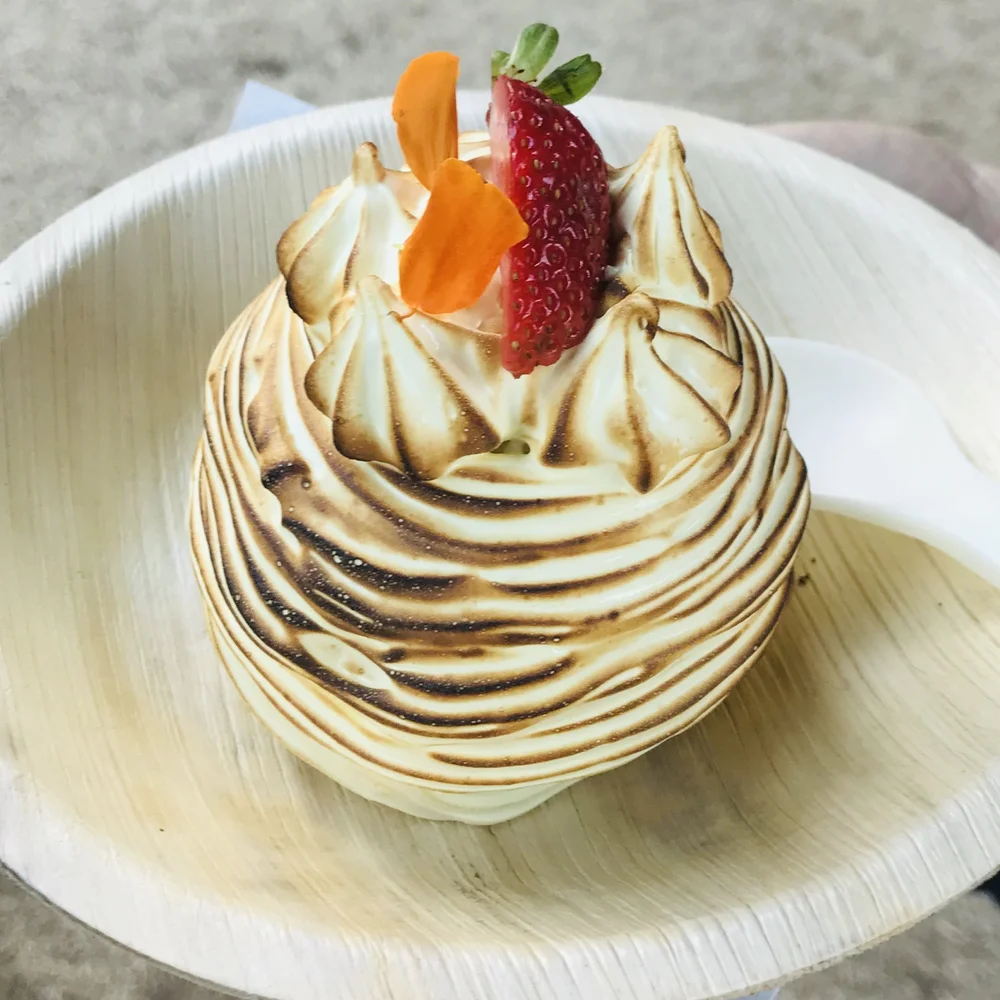Gelistas Famous Classic Bombe Alaska — Gelista Gelati