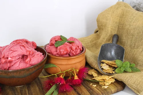 Bush Tucker Ice Cream — Gelista Gelati