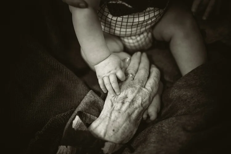 Psychogénéalogie et transgénérationnel — Chemin de Naissance