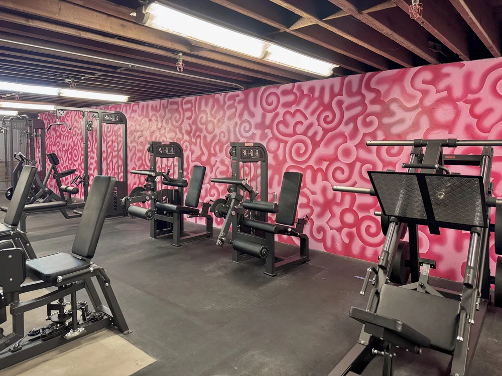 GYM HOURS — The Pink Lab