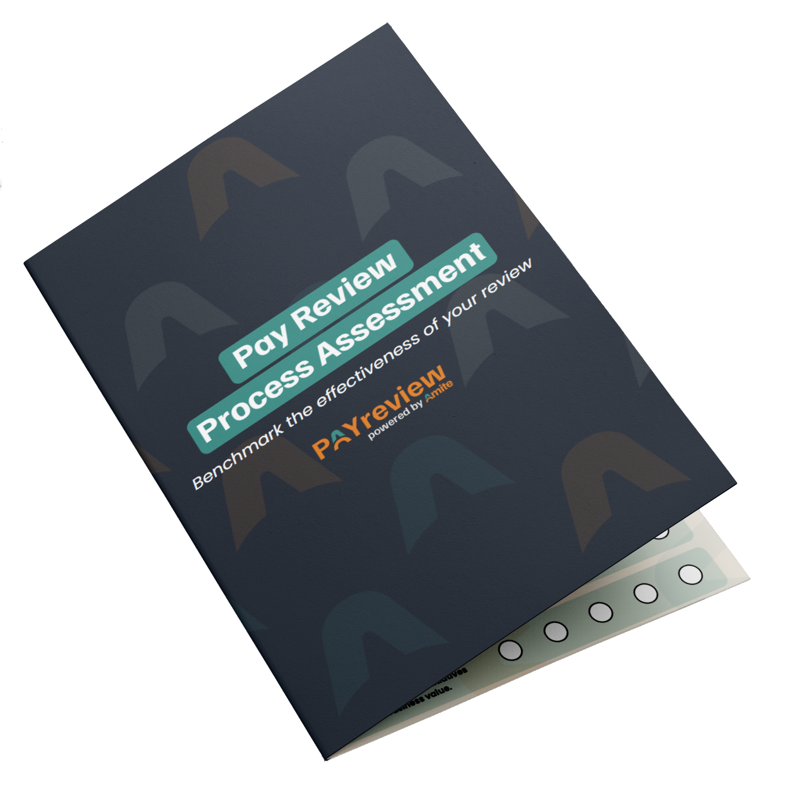 Pay Review Process Assessment — PAYreview by Amite