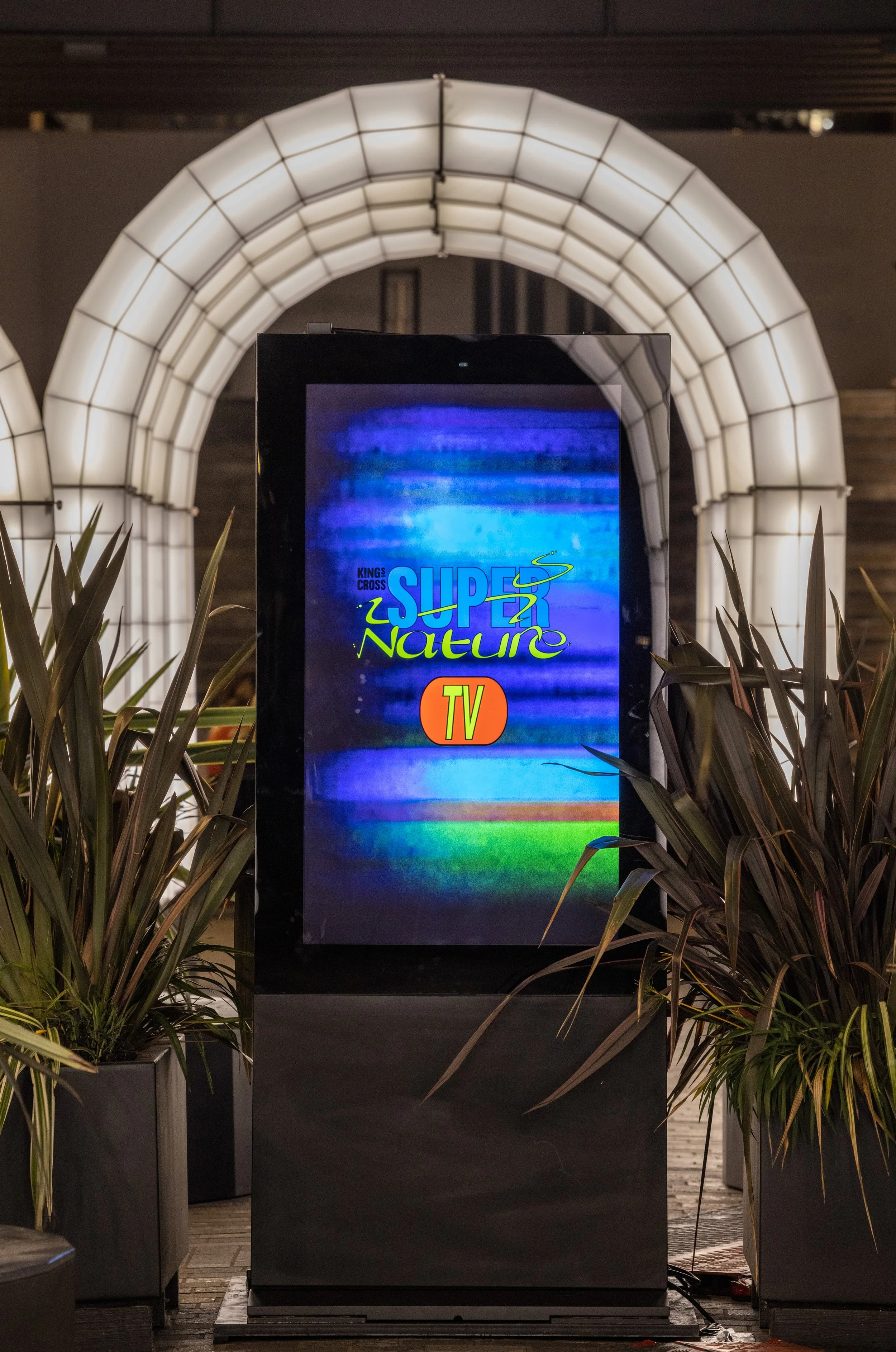 Super Nature, Placemaking at King's Cross — Company, Place