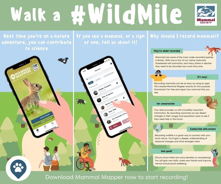 Mammal Mapper — Mammal Society
