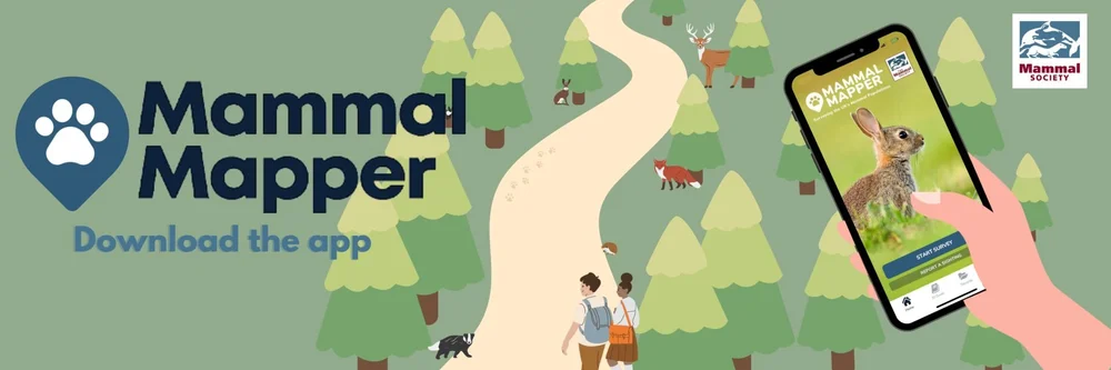 How to record mammals — Mammal Society